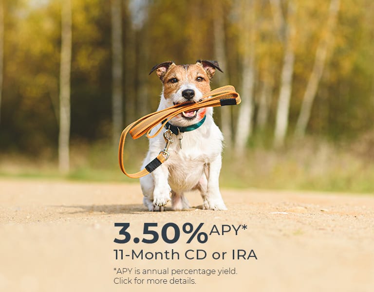 Alltrust Credit Union | Local Massachusetts Banking